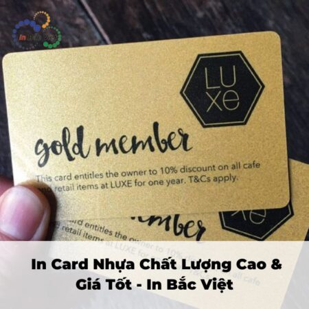 In Card Visit Nhựa Chất Lượng Cao & Giá Tốt - In Bắc Việt